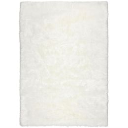 Hochflor-Teppich FLAIR RUGS "Sheepskin" Teppiche Gr. B/L: 180 cm x 290 cm, 6 mm, 1 St., beige (creme) Esszimmerteppiche
