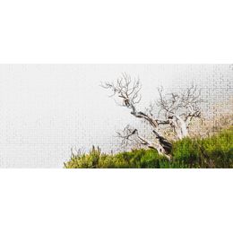 ARCHITECTS PAPER Fototapete "Atelier 47 Death Tree Puzzle 2" Tapeten Gr. B/L: 6 m x 2,7 m, grün (dunkelgrün, weiß, creme) Fototapeten Natur
