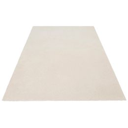 Teppich Home Affaire "Tore" Teppiche Gr. B/L: 200 cm x 300 cm, 10 mm, 1 St., beige (natur) Esszimmerteppiche