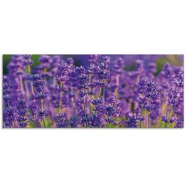 Glasbild Artland "Lavendelfeld in Tihany, Ungarn" Bilder Gr. B/H: 125 cm x 50 cm, Felder, 1 St., lila Glasbilder