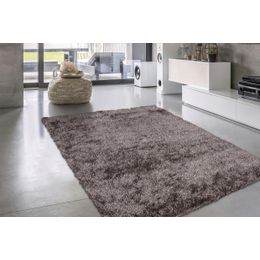 Hochflor-Teppich Calo-deluxe "Masada 900" Teppiche Gr. B/L: 160 cm x 230 cm, 40 mm, 1 St., beige (champagner) Esszimmerteppiche