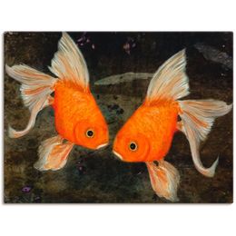 Wandbild Artland "Turtelfische" Bilder Gr. B/H: 120 cm x 90 cm, Leinwandbild Wassertiere, 1 St., orange Kunstdrucke