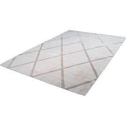 Teppich Calo-deluxe "Viteox 210" Teppiche Gr. B/L: 80 cm x 150 cm, 13 mm, 1 St., grau (taupe) Esszimmerteppiche