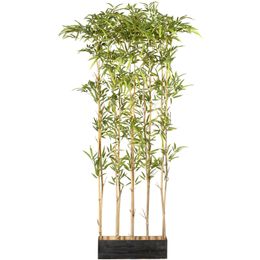 Künstliche Zimmerpflanze Creativ green "Bambusraumteiler" Kunstpflanzen Gr. H: 160 cm, 1 St., grün Künstliche Zimmerpflanzen