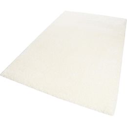 Hochflor-Teppich Wecon Home "Toubkal" Teppiche Gr. B/L: 120 cm x 170 cm, 50 mm, 1 St., beige (naturfarben) Esszimmerteppiche