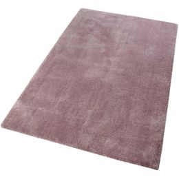 Hochflor-Teppich Esprit "Relaxx" Teppiche Gr. B/L: 160 cm x 230 cm, 25 mm, 1 St., lila (flieder, lila) Esszimmerteppiche