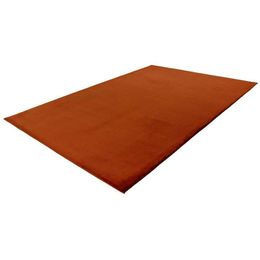 Hochflor-Teppich Carpet City "TOPIA 400" Teppiche Gr. B/L: 200 cm x 290 cm, 21 mm, 1 St., orange (terra) Esszimmerteppiche