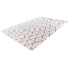 Teppich Home Affaire "Tilana" Teppiche Gr. B/L: 160 cm x 230 cm, 20 mm, 1 St., grau (weiß, taupe) Esszimmerteppiche