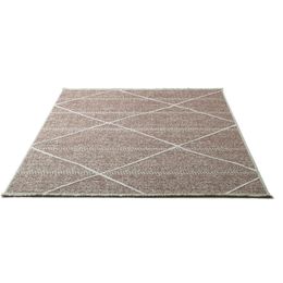 Teppich Sansibar "Braderup" Teppiche Gr. B/L: 80 cm x 150 cm, 2 mm, 1 St., rot Schurwollteppiche