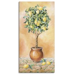 Wandbild Artland "Zitronenbaum I" Bilder Gr. B/H: 75 cm x 150 cm, Leinwandbild Pflanzen, 1 St., beige (naturfarben) Kunstdrucke