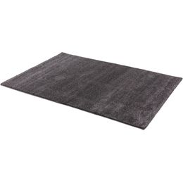 Teppich Astra "Savona 180" Teppiche Gr. B/L: 67 cm x 130 cm, 20 mm, 1 St., grau (anthrazit) Esszimmerteppiche