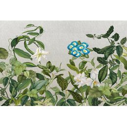 ARCHITECTS PAPER Fototapete "Atelier 47 Botanic Sketch 1" Tapeten Gr. B/L: 4 m x 2,7 m, bunt (grün, blau, weiß) Fototapeten Blumen