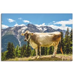 Wandbild Artland "Bergkuh in den Alpen im Sommer" Bilder Gr. B/H: 120 cm x 80 cm, Leinwandbild Haustiere Querformat, 1 St., grün Kunstdrucke