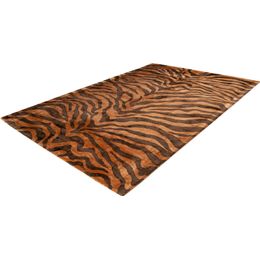 Teppich Padiro "Sinai 125" Teppiche Gr. B/L: 200 cm x 290 cm, 11 mm, 1 St., braun (braun, dunkelbraun) Esszimmerteppiche