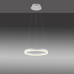 Pendelleuchte Paul Neuhaus "TITUS" Lampen Gr. Ø 40 cm, weiß LED Hängeleuchten und Pendelleuchten