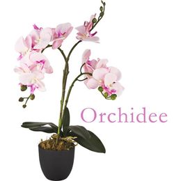 Künstliche Blumen Orchidee Orchideen Pflanzen Kunstpflanze Kunstblumen Künstlich Pflanze Rosa Pink mit Topf Deko 45 cm Decovego