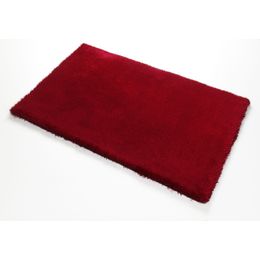Hochflor-Teppich KIYOU SHAGGY "KiYou Shaggy" Teppiche Gr. B/L: 110 cm x 170 cm, 40 mm, 1 St., rot (bordeau) Esszimmerteppiche