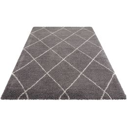 Hochflor-Teppich LEONIQUE "Belle" Teppiche Gr. B/L: 120 cm x 170 cm, 35 mm, 1 St., grau (grau, creme) Esszimmerteppiche