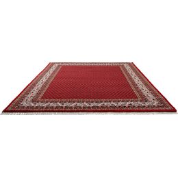 Orientteppich Theko "Chandi Mir" Teppiche Gr. B/L: 70 cm x 140 cm, 12 mm, 1 St., rot (rot, creme) Schurwollteppiche