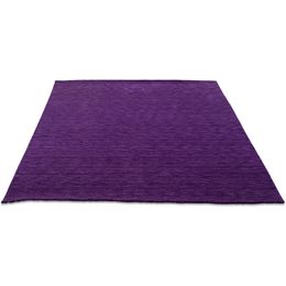Wollteppich Theko "Holi" Teppiche Gr. B/L: 60 cm x 90 cm, 13 mm, 1 St., lila (violett) Schurwollteppiche