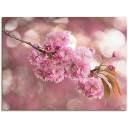 Wandbild Artland "Japanische Kirschblüte in Love III" Bilder Gr. B/H: 120 cm x 90 cm, Leinwandbild Blumen, 1 St., pink Kunstdrucke