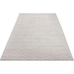 Teppich Astra "Solero 6832 221" Teppiche Gr. B/L: 240 cm x 330 cm, 12 mm, 1 St., beige (creme) Esszimmerteppiche