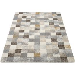 Teppich OCI DIE TEPPICHMARKE "NEW VILLA SQUARES" Teppiche Gr. B/L: 240 cm x 340 cm, 20 mm, 1 St., grau (grau, creme) Esszimmerteppiche