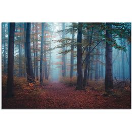 Wandbild Artland "Wald im Nebel" Bilder Gr. B/H: 90 cm x 60 cm, Alu-Dibond-Druck Waldbilder Querformat, 1 St., rot Kunstdrucke
