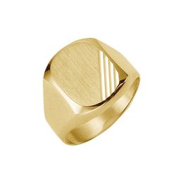 Siegelring Firetti "Schmuck Geschenk Gold 333 Herrenring Goldring" Fingerringe Gr. 22, Gelbgold 333, 4 mm, gelb (gelbgoldfarben) Herren Goldringe