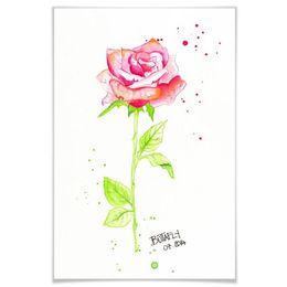 Poster Wall-Art "Rose" Bilder Gr. B/H/T: 90 cm x 140 cm x 0,1 cm, Blumen, 1 St., bunt Poster