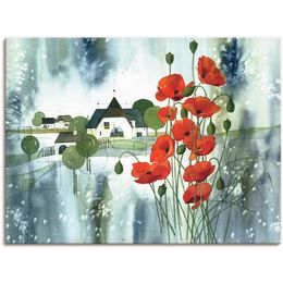 Leinwandbild Artland "Blühender Mohn" Bilder Gr. B/H: 80 cm x 60 cm, Blumen, 1 St., rot Leinwandbilder