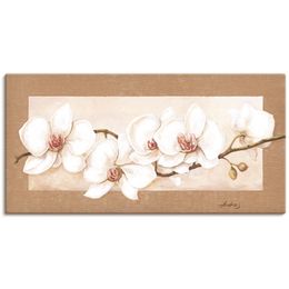 Wandbild Artland "Orchideenzweig" Bilder Gr. B/H: 150 cm x 75 cm, Leinwandbild Blumenbilder Querformat, 1 St., beige (naturfarben) Kunstdrucke