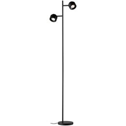 Stehlampe Paulmann "Puric Pane" Lampen Gr. 2 flammig, Ø 18,0 cm Höhe: 145,0 cm, schwarz Standleuchten 3-Step dimmbar
