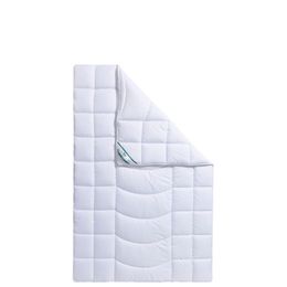 Microfaserbettdecke F.A.N. Schlafkomfort "Warmmax" Bettdecken Gr. B/L: 200 cm x 200 cm, normal, weiß Steppbettdecke