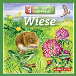 Natur-Memo "Wiese" (Spiel)