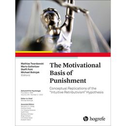 The Motivational Basis of Punishment, Kartoniert (TB)