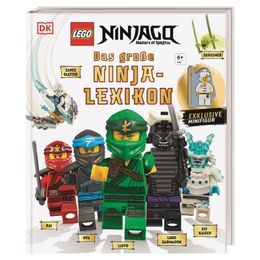 Dorling Kindersley LEGO® NINJAGO® Das große Ninja-Lexikon - Arie Kaplan, Hannah Dolan, Gebunden