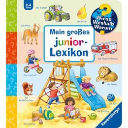 RAVENSBURGER VERLAG Wieso? Weshalb? Warum? Mein großes junior-Lexikon - Patricia Mennen, Kartoniert (TB)