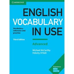 English Vocabulary in Use Advanced 3rd Edition, with answers, Kartoniert (TB)