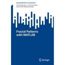 Fractal Patterns with MATLAB - Santo Banerjee, A. Gowrisankar, Komandla Mahipal Reddy, Kartoniert (TB)