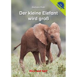 Der kleine Elefant wird groß / Igelheft 78 - Barbara Rath, Geheftet