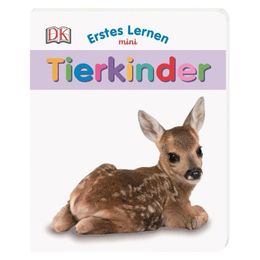 Dorling Kindersley Erstes Lernen mini - Tierkinder, Pappband
