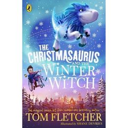 The Christmasaurus and the Winter Witch - Tom Fletcher, Kartoniert (TB)