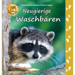 Neugierige Waschbären - Heiderose Fischer-Nagel, Andreas Fischer-Nagel, Gebunden