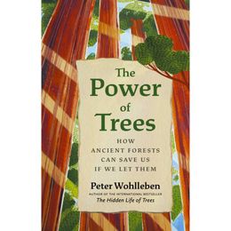 The Power of Trees - Peter Wohlleben, Gebunden