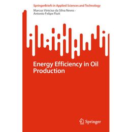 Springer Energy Efficiency in Oil Production - Marcus Vinicius da Silva Neves, Antonio Felipe Flutt, Kartoniert (TB)