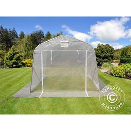 Dancover Foliengewächshaus, 2,4x2,4x2m, pe, 5,7m², Transparent - Durchsichtig