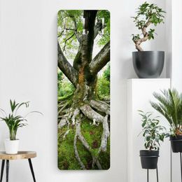 MICASIA Garderobe - Alter Baum - Grün Größe HxB: 119cm x 39cm