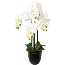 Gasper - Schmetterlingsorchidee - Phalenopsis Weiß 4 Blütenrispen im Topf 69 cm - Kunstpflanzen