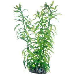 HOBBY - Heteranthera - 25 cm - künstliche Aquariumpflanze